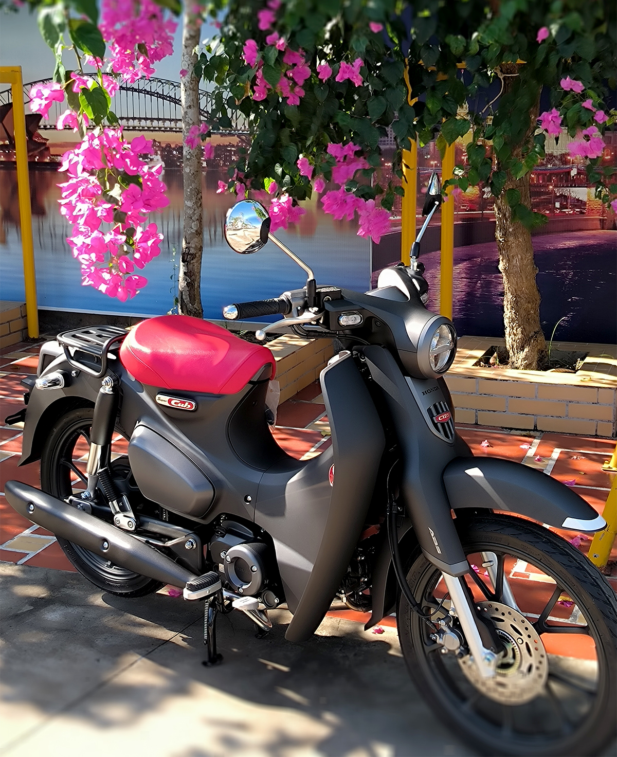 Super Cub C125 ABS Nội Địa Nhật, Made In Japan, Đã Chính Thức Về Việt Nam